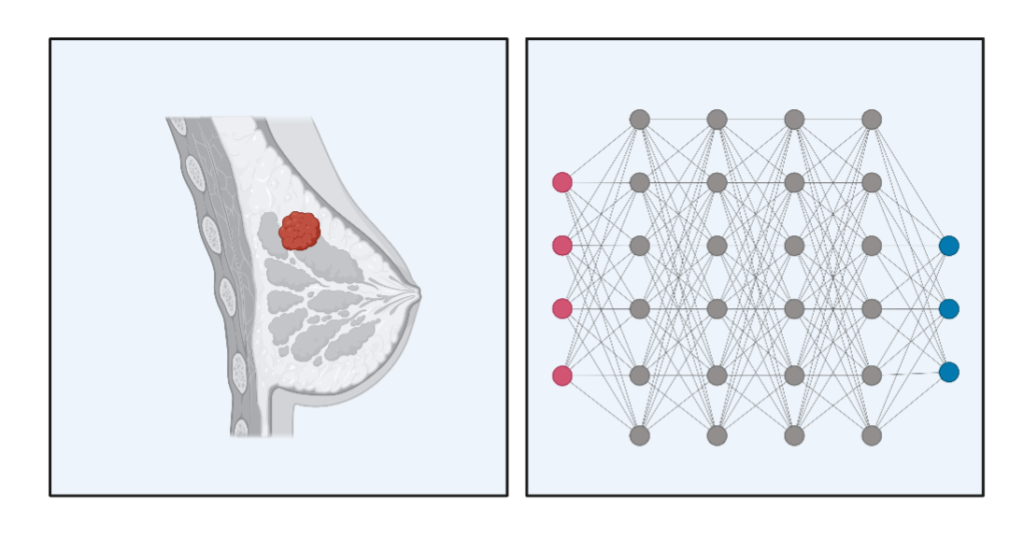 Deep Learning for Breast Cancer Diagnosis via MRI – Global Reproductive ...
